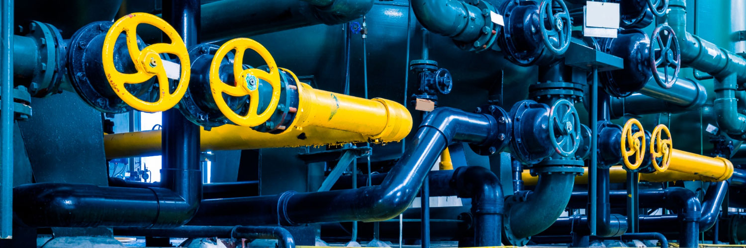 Backflow Testing for Sprinkler Irrigation System - Prevent Contamination